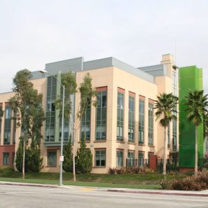 Custom Surface Film | Security Window Film | Work Wall Covering