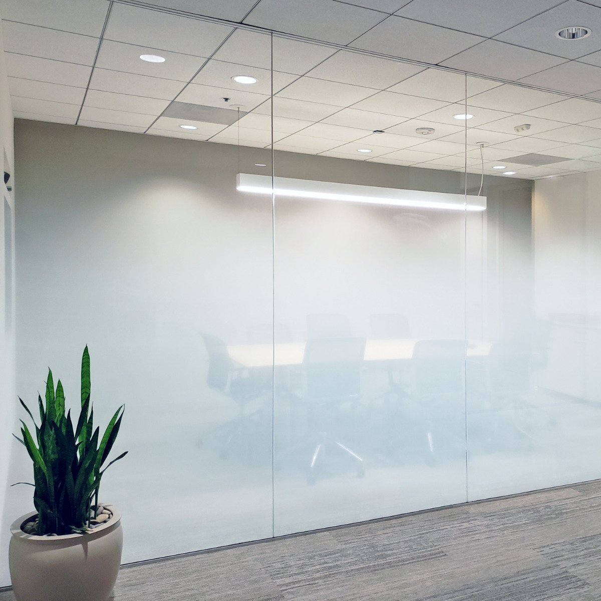 Gradient Glass Film - Metwest