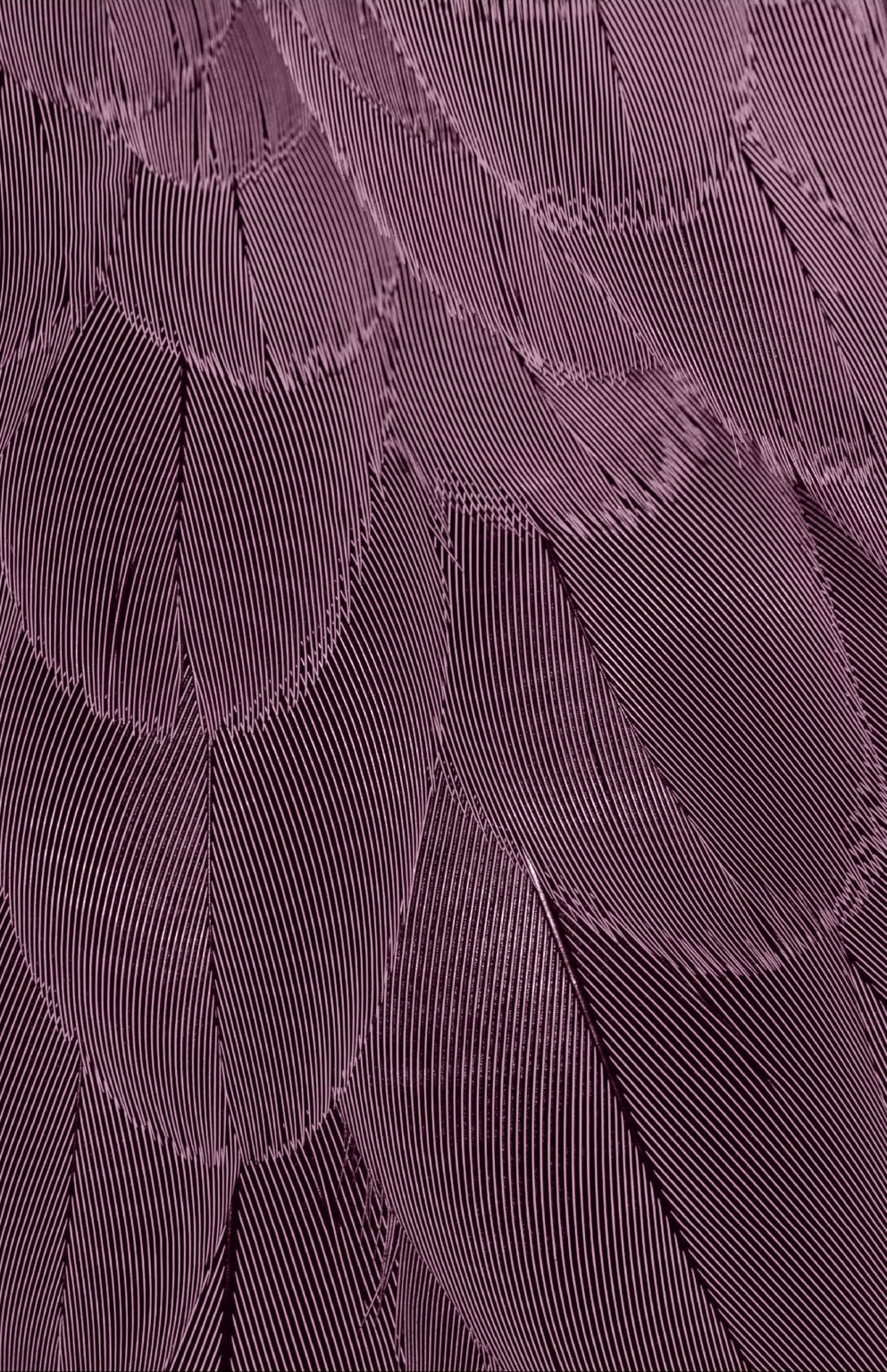 Design Resources - Metwest