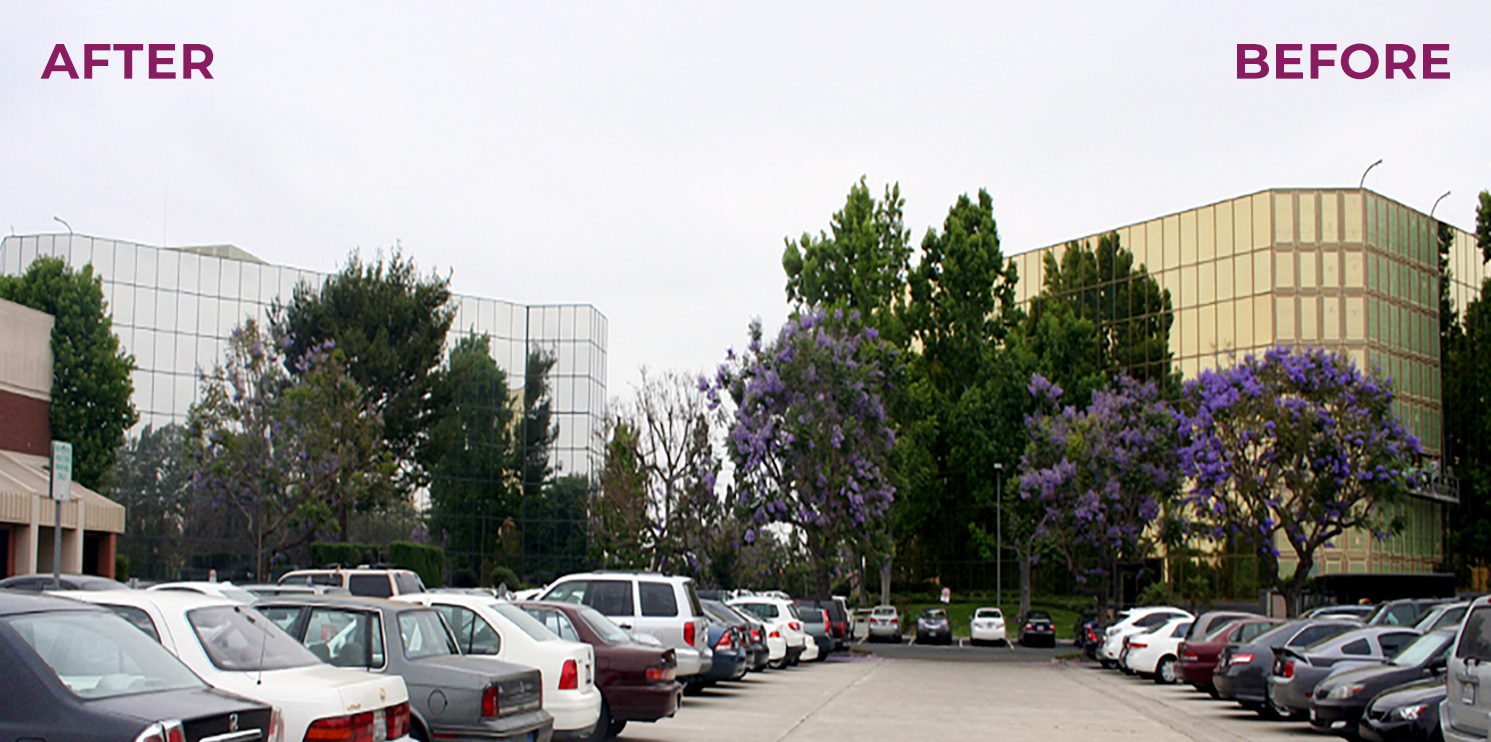 Building Wraps for Commercial Branding - MetWest